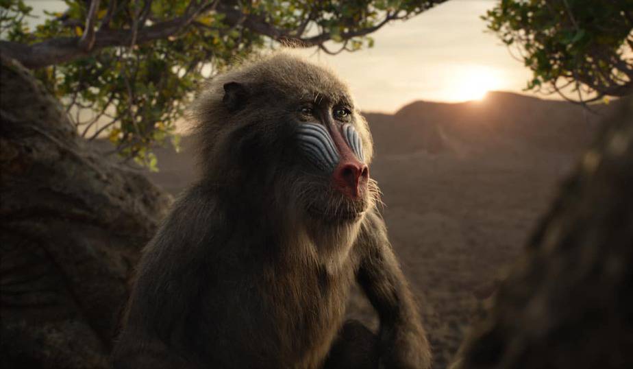 7 Daftar Hewan yang Ada di Film The Lion King - ArenaHewan.com