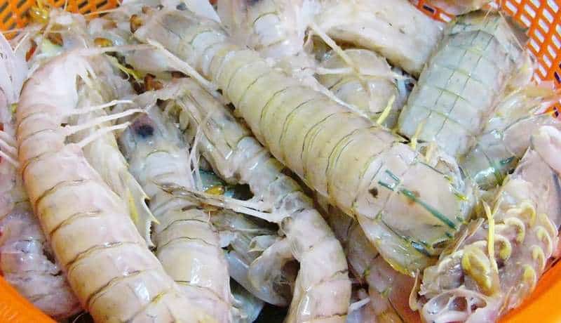 9 Jenis Udang Yang Bisa Dimakan dan Favorit Banget - ArenaHewan.com