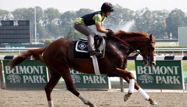 7 Teknik Menunggang Kuda yang Baik dan Benar - ArenaHewan.com